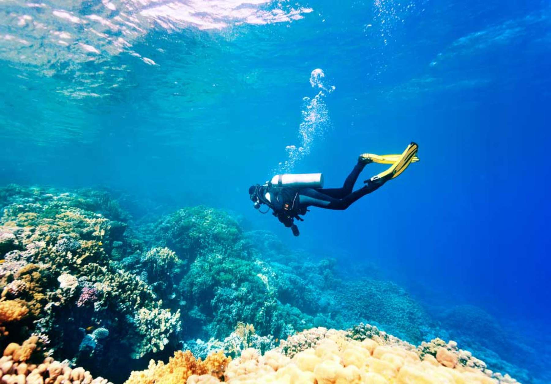 Aquarivs Diving - Escola de Mergulho